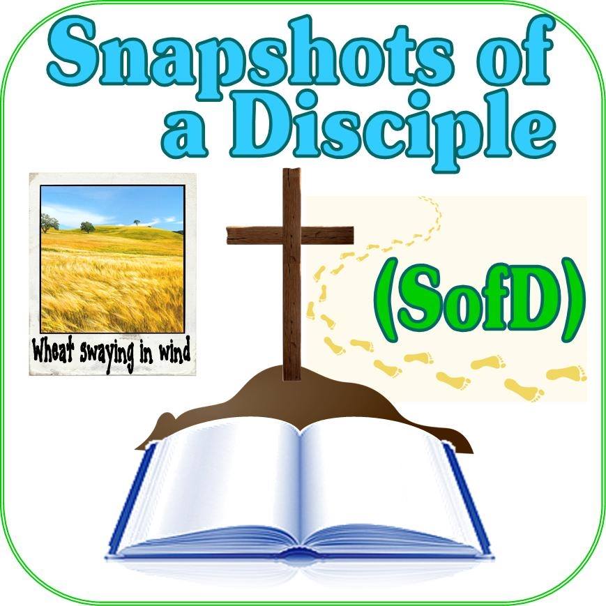 INCPU.org | Romans study